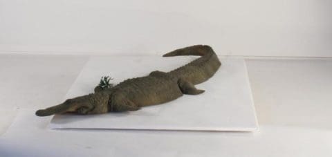 Fake Alligators, Artificial Floating Alligators Decorations