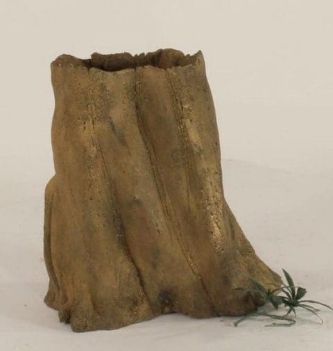 The Ultimate Cypress Stump Collection - Garden Gnomes Etc