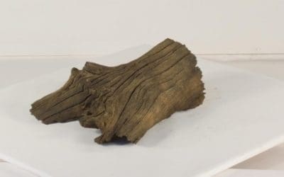 The Ultimate Artificial Floating Log Collection - Garden Gnomes Etc