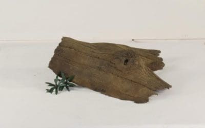 The Ultimate Artificial Floating Log Collection - Garden Gnomes Etc